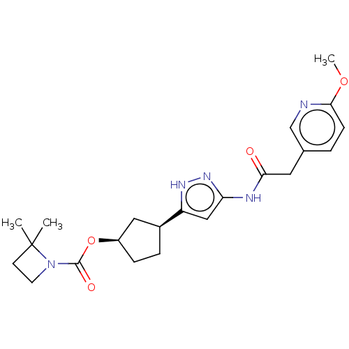 BindingDB PrimarySearch_ki