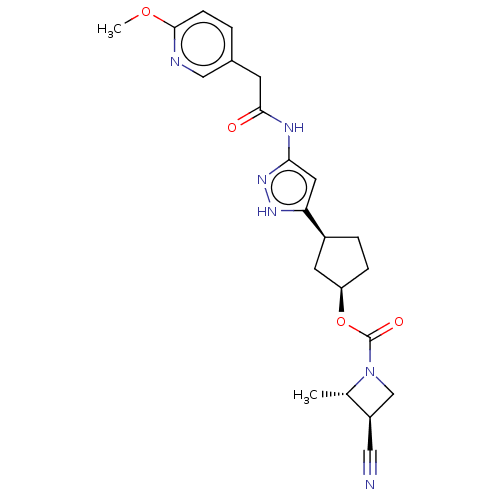 BindingDB PrimarySearch_ki